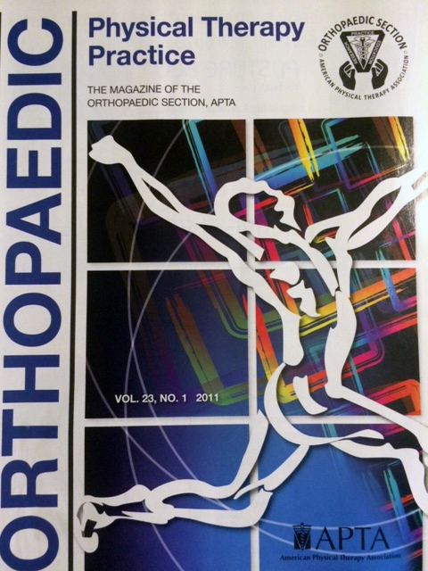 VIP Physical Therapy | aka Kami Practics, Advanced Physical Therapy in ...